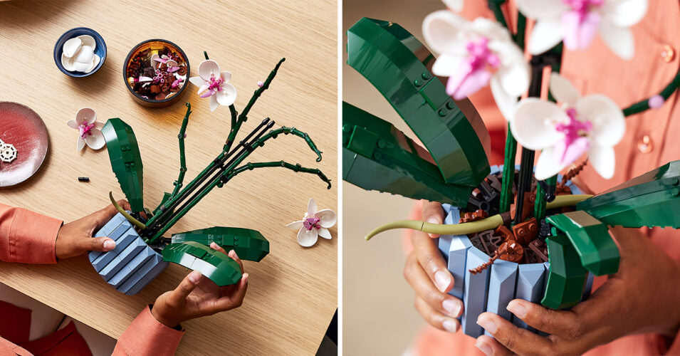 LEGO Botanical Collection Has New Succulents & Orchid Sets