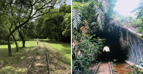 12 Things To Do In Clementi That Make It More Than A Quiet Heartland