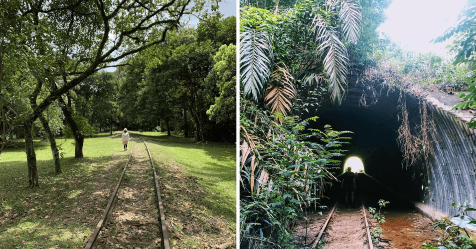 12 Things To Do In Clementi That Make It More Than A Quiet Heartland