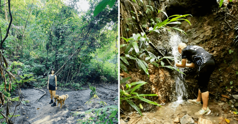 12 Things To Do In Clementi That Make It More Than A Quiet Heartland