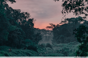 12 Things To Do In Clementi That Make It More Than A Quiet Heartland