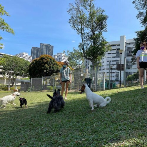 12 Things To Do In Clementi That Make It More Than A Quiet Heartland
