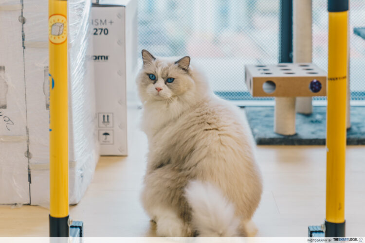 Coinhako Office Tour - Singapore’s Biggest Crypto Platform