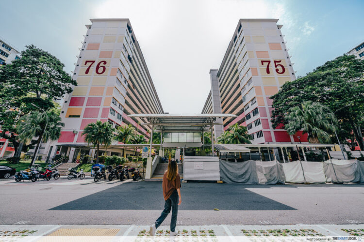 8 Prettiest HDB Blocks In Singapore To Be A “Tourist In Your Own City”