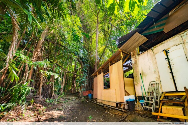 14 Things To Do In Bukit Purmei - Neighbourhood With Kampung Vibes