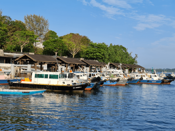 Puaka Hill - Pulau Ubin Hiking Guide