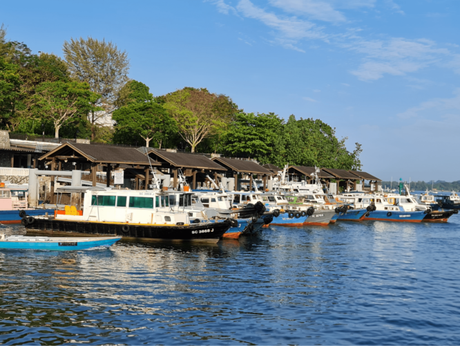 Puaka Hill - Pulau Ubin Hiking Guide