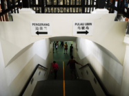 Puaka Hill - Pulau Ubin Hiking Guide