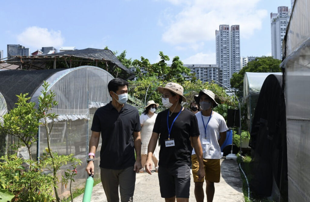 City Sprouts Is An Urban Farm Hidden In An Old Secondary School