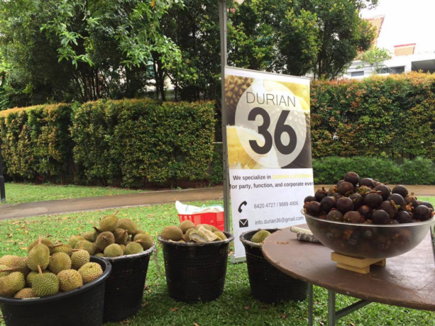 7 Best Durian Delivery Services For The MSW & D24 Addicts At Home