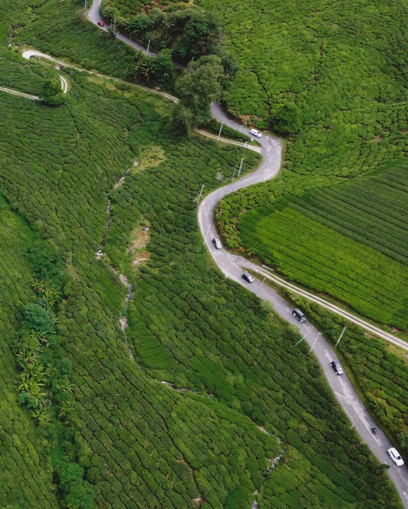 How To Get From Singapore To Cameron Highlands By Car, Bus & Air