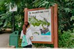 Things To Do Along The 10km Southern Ridges Trail