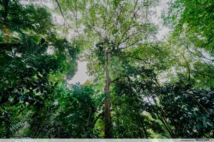 14 Things To Do Along The 10km Southern Ridges Trail