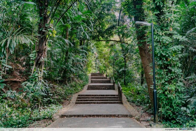 Things To Do Along The 10km Southern Ridges Trail