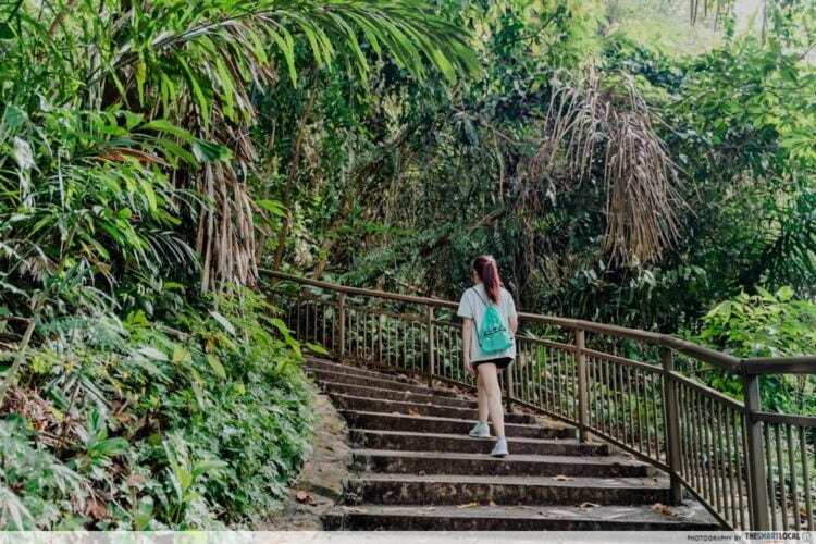 Things To Do Along The 10km Southern Ridges Trail