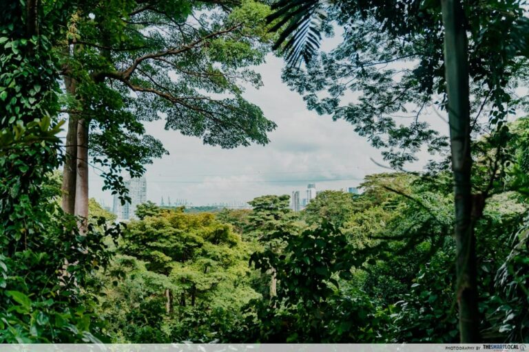 Things To Do Along The 10km Southern Ridges Trail