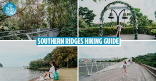 Things To Do Along The 10km Southern Ridges Trail