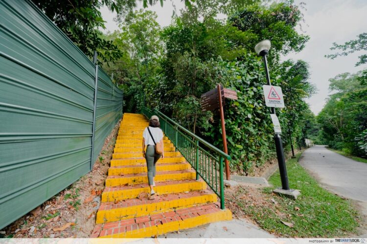 Guide to Kent Ridge Park - Hidden Quarry & Mountain Bike Trail