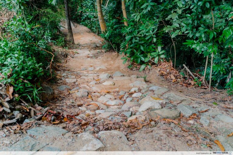 Guide to Kent Ridge Park - Hidden Quarry & Mountain Bike Trail