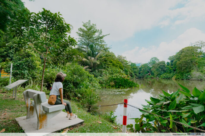 Guide to Kent Ridge Park - Hidden Quarry & Mountain Bike Trail