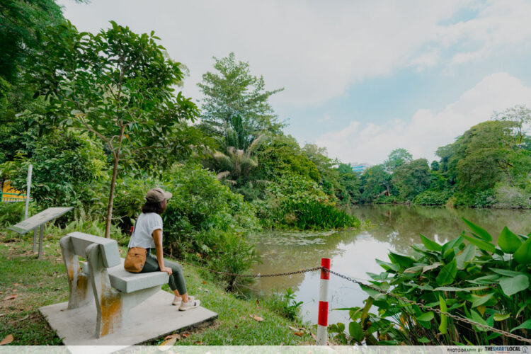 Guide to Kent Ridge Park - Hidden Quarry & Mountain Bike Trail