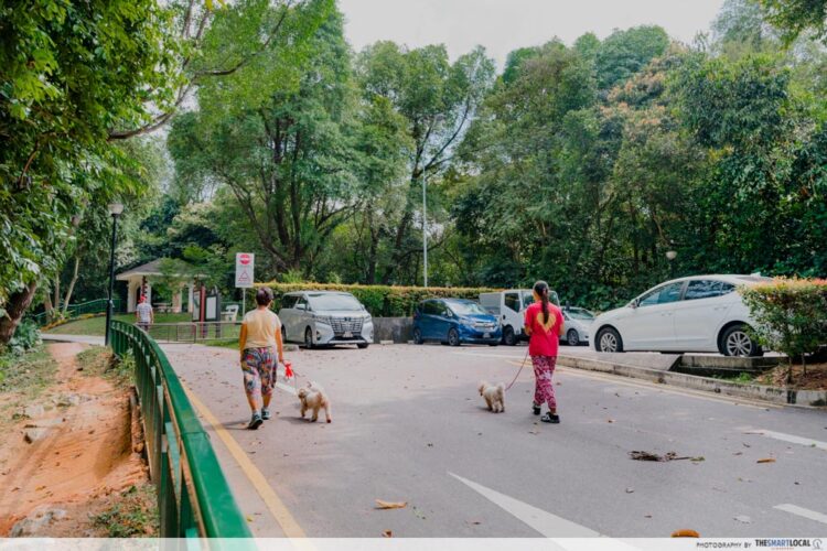 Guide to Kent Ridge Park - Hidden Quarry & Mountain Bike Trail