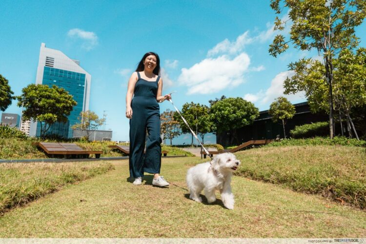 Funan Outdoor Movie Screening - DC League Of Super Pets