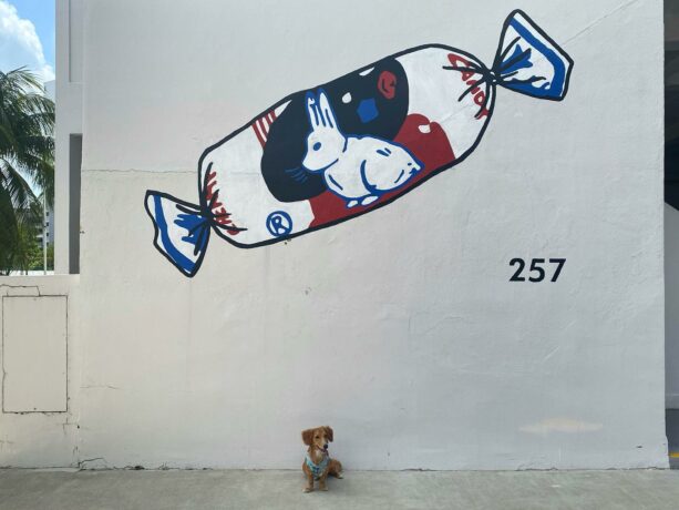 9 HDB Murals In Singapore That Prove Our Void Decks Aren’t Boring