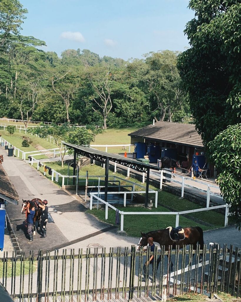 Riders Cafe: Hidden Cafe In A Colonial Horse Stable