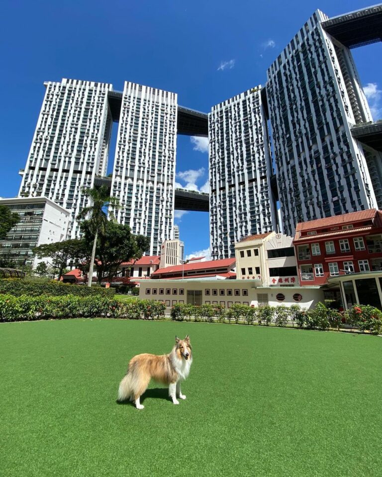 Yan Kit Playfield: Former Art Deco Swimming Complex In SG