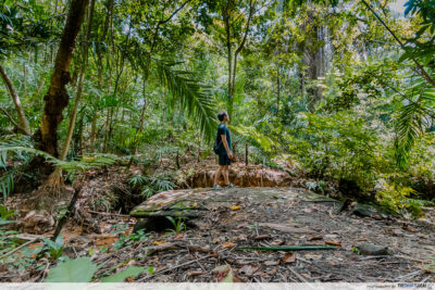 9 Best Things To Do In Bishan, Singapore [2025]