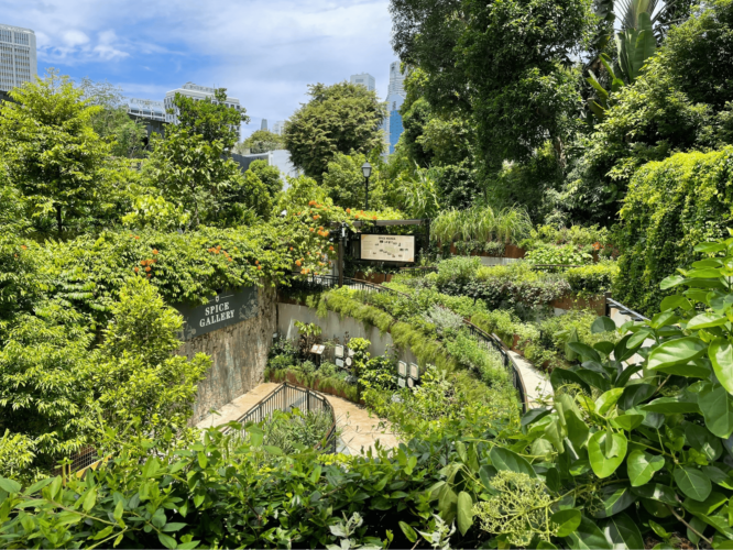 Fort Canning Has A New Heritage Gallery & Spice Garden With Free Entry