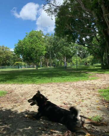 9 Best Things To Do In Bishan, Singapore [2025]