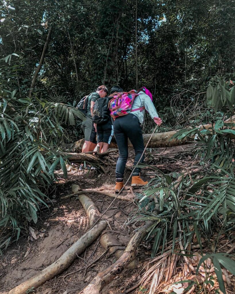 Marsiling Tunnels & Bunkers - Abandoned WWII Site In The North