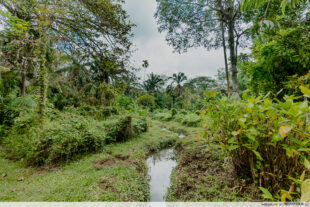 9 Best Things To Do In Bishan, Singapore [2025]