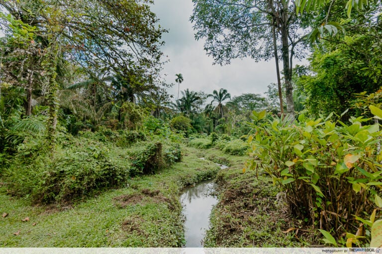 9 Best Things To Do In Bishan, Singapore [2025]