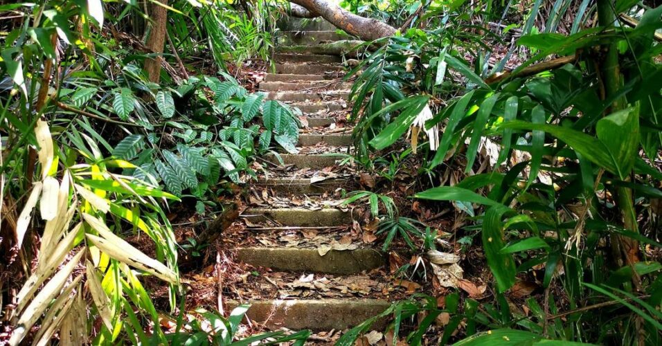 Marsiling Tunnels & Bunkers - Abandoned WWII Site In The North