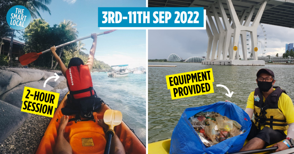 PAssion Wave Has $1 Kayak Rental For Ocean Cleanups In Sep 2022