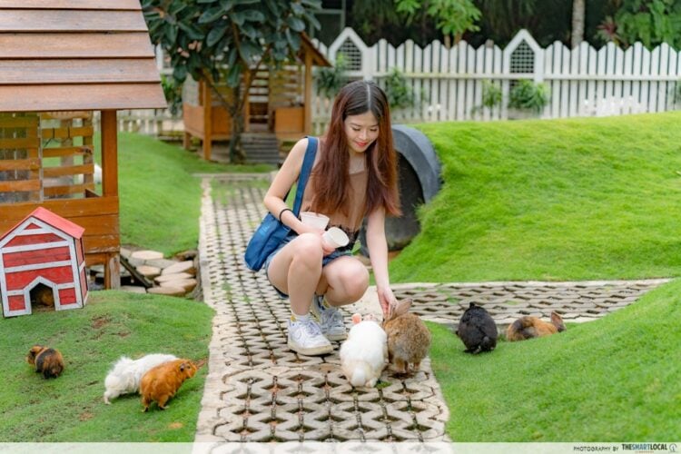 Panbil Nature Reserve In Batam Has Deer, Animal Feeding & Hiking Trails