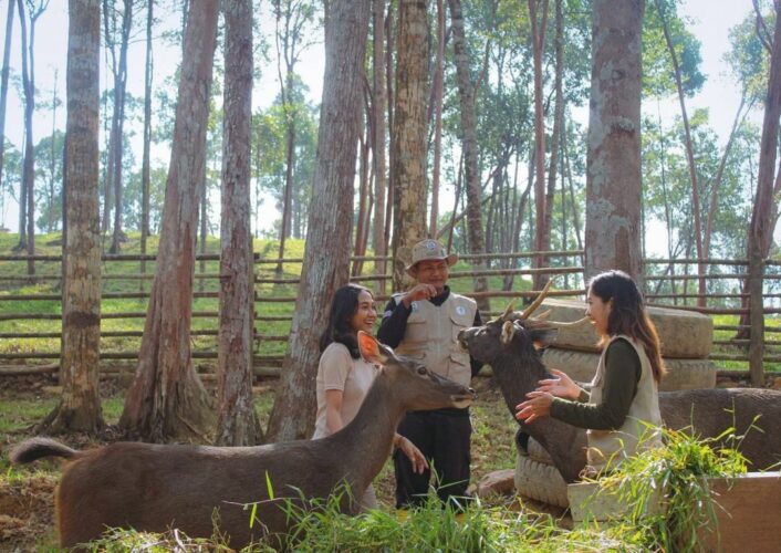 Panbil Nature Reserve In Batam Has Deer, Animal Feeding & Hiking Trails