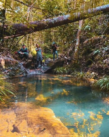 Panbil Nature Reserve In Batam Has Deer, Animal Feeding & Hiking Trails
