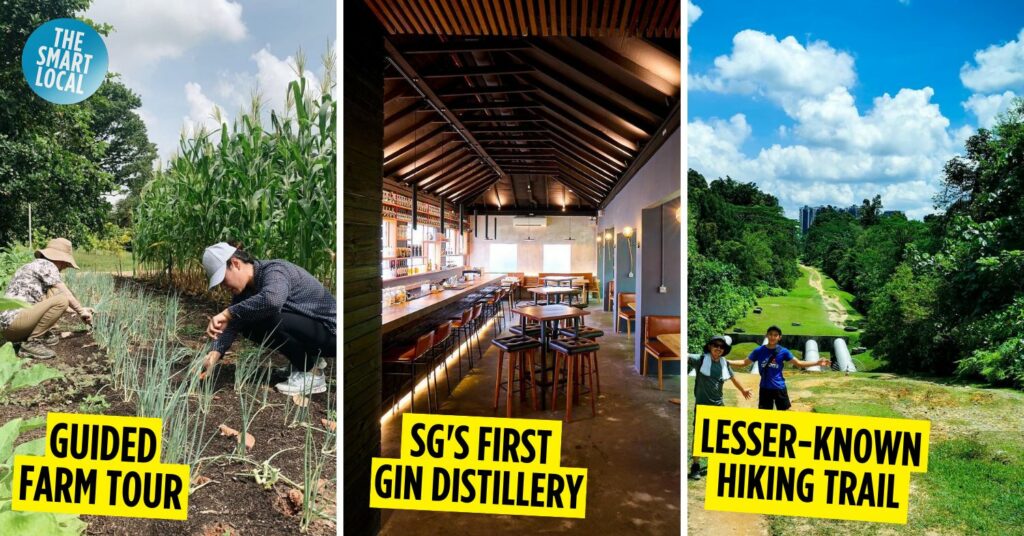 LiHO Is Having 1-For-1 Bubble Tea Across Its Entire Menu