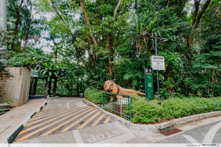 Guide To Hiking In Sentosa, With Easy Coastal & Historical Trails