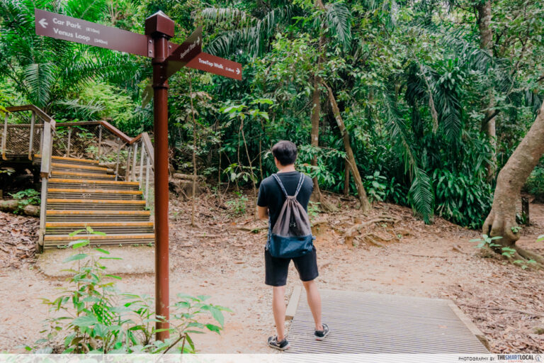 Windsor Nature Park: Marshland Near MacRitchie Treetop (2025)