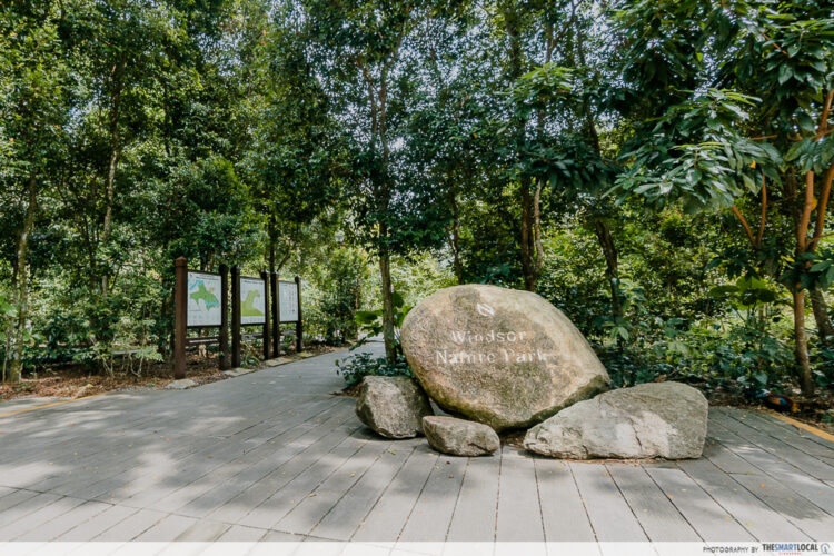 Windsor Nature Park: Marshland Near MacRitchie Treetop (2025)