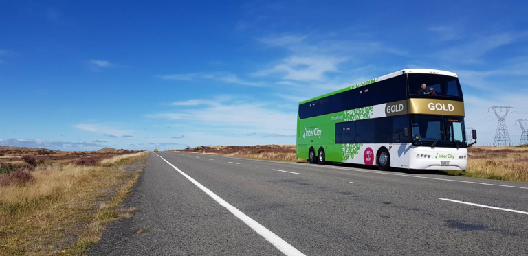 8 Things To Do In New Zealand Without A Car