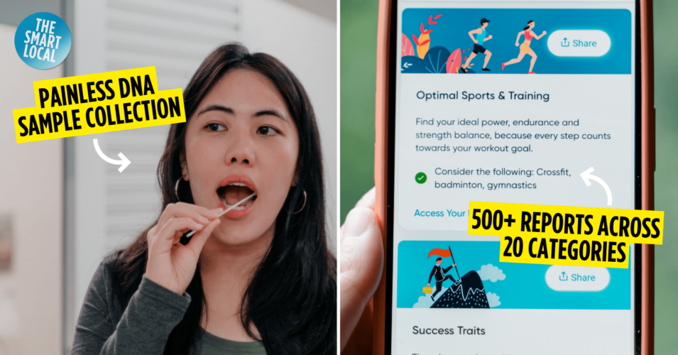 CircleDNA DNA Test - Diet, Disease Prevention & Family Planning Tips