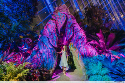 Avatar: The Experience First Look At Gardens By The Bay