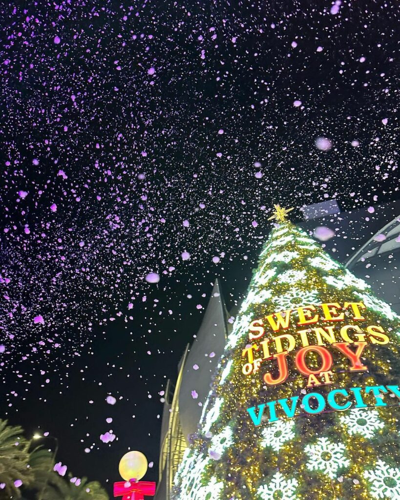 11 Best Places To See Christmas Lights & Decorations In Singapore 2022