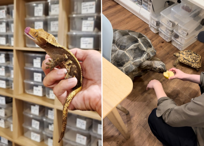 11 Strange Attractions Around The World Like Unique Tours & Museums